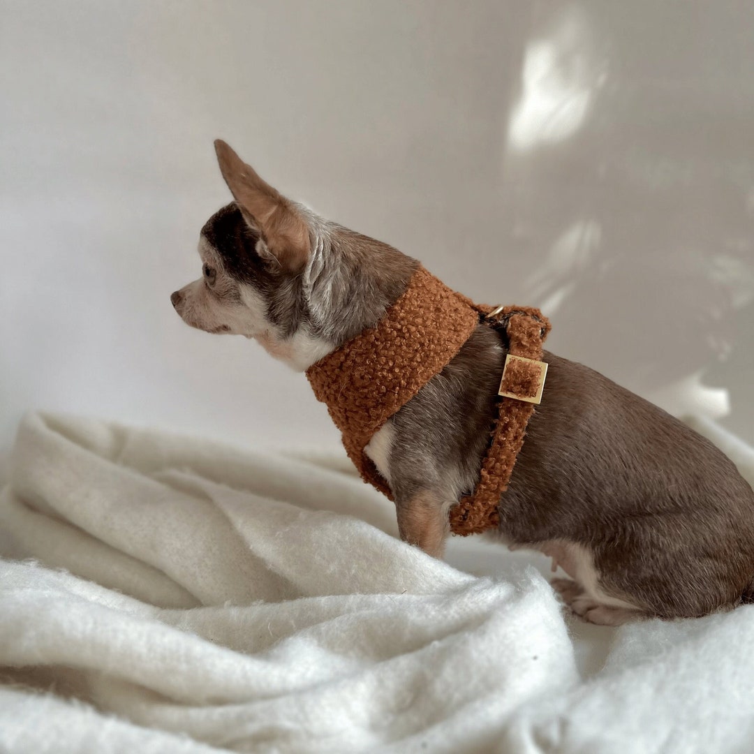 TEDDY Caramel Soft Harness for Small and Big Dogs or Puppies - Gold ...
