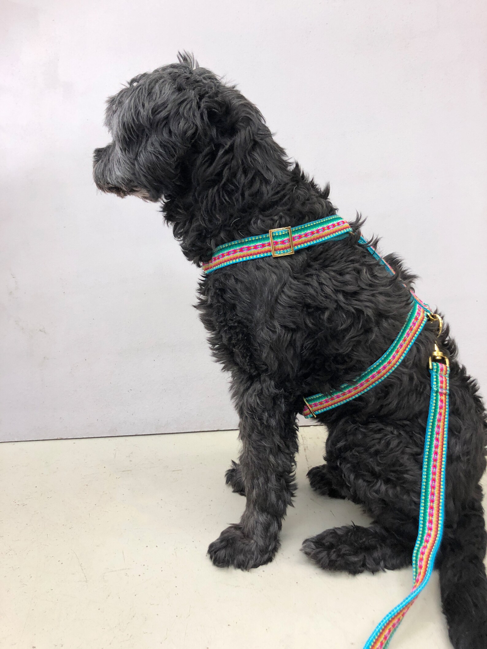 Designer Dog Harness IBIZA Mint Designer Dog Harness With - Etsy