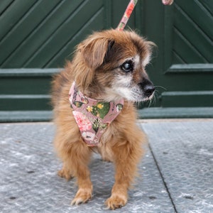 Dog Soft Harness EDEN DAWN Designer Piece With Rose Gold Hardware - Etsy