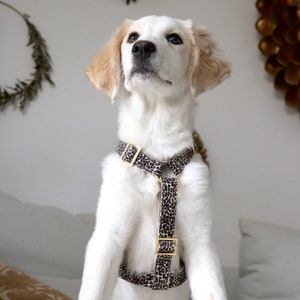 Stylish Dog Harness WILD LIFE - Leopard Print - Handmade in Germany ...