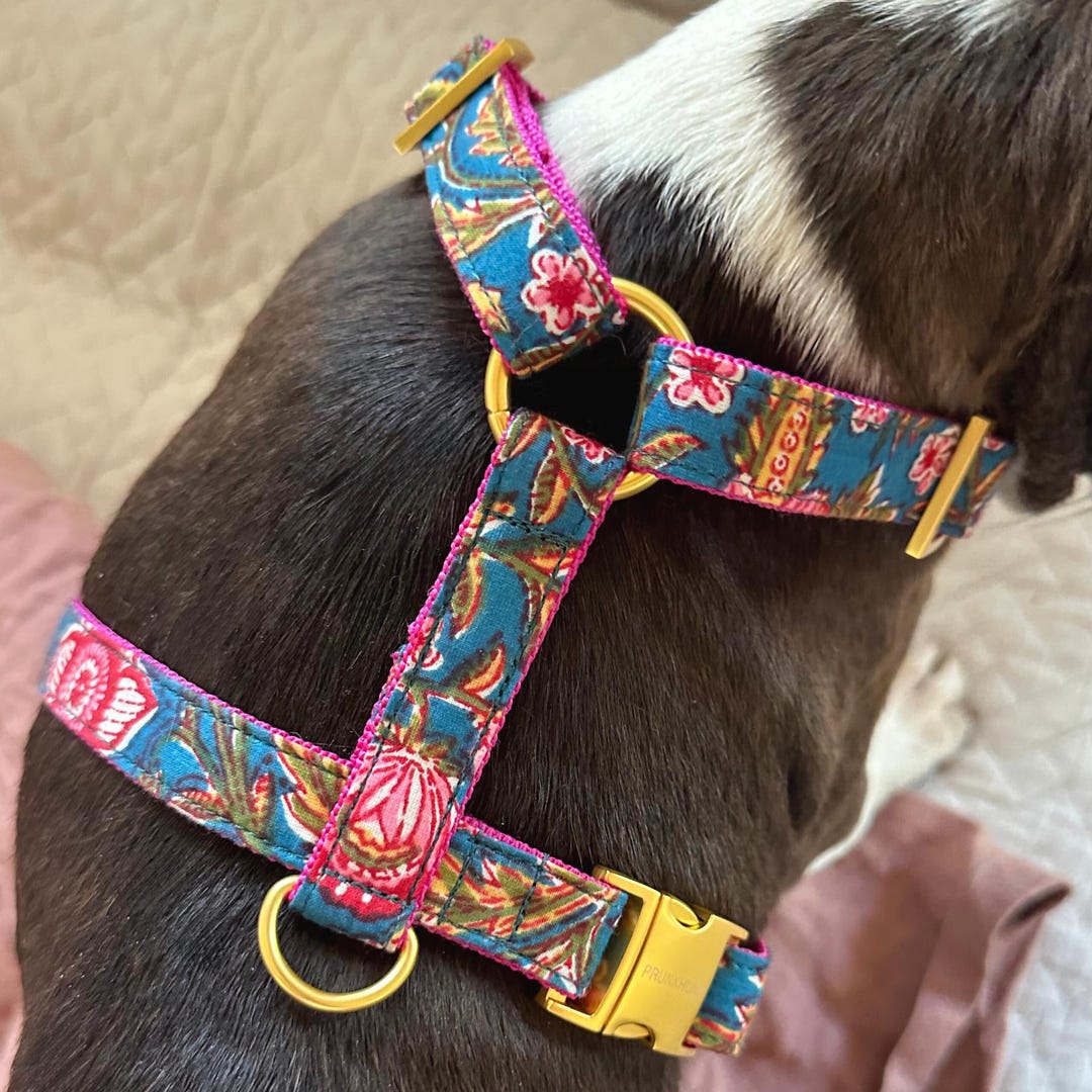 GOA Azur Dog Harness for Small and Big Dogs or Puppies - Gold Hardware ...