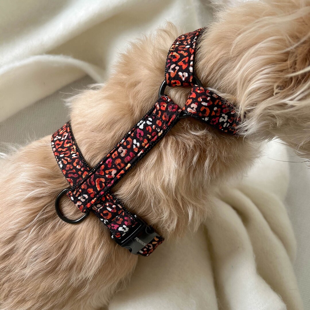 Luxury Dog Harness MAROON Handmade in Germany Perfect for Small, Medium ...