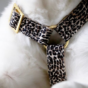 Stylish Dog Harness WILD LIFE - Leopard Print - Handmade in Germany ...