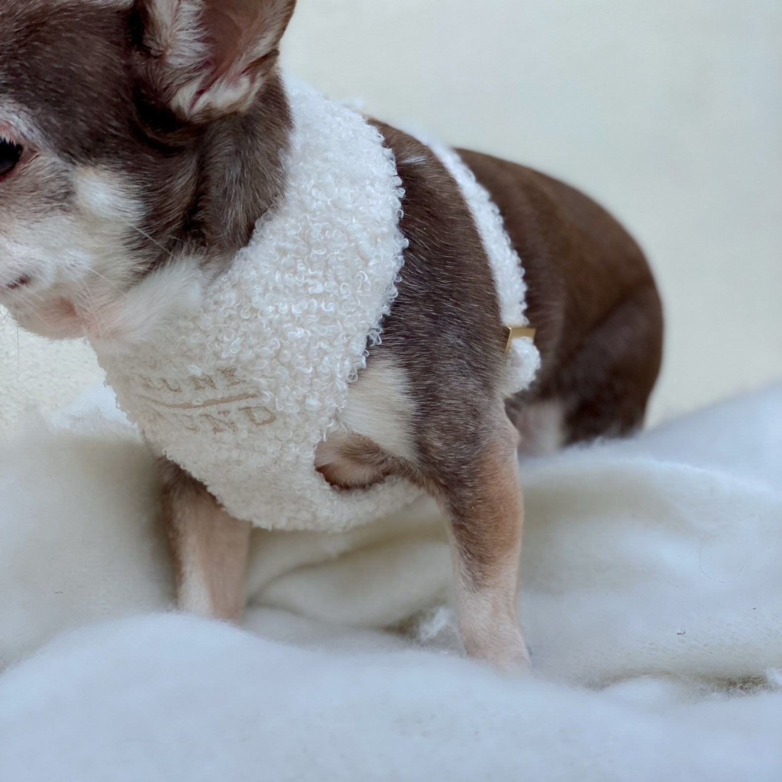 White TEDDY Soft Harness for Small and Big Dogs or Puppies Gold ...