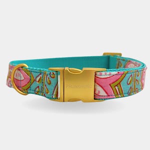 GOA Aqua Dog Collar for Small to Big Dogs & Puppies - Handmade in ...