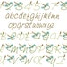 Dragonfly Alphabet 26 Upper-case Letters, 10 Numerals and 26 Lower-case ...