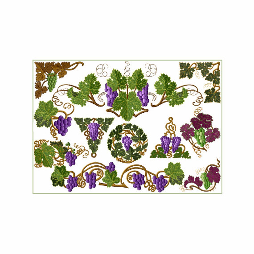 ABC Designs - Grape Vines 14 Machine Embroidery Designs for 5"x5" Hoop ...