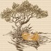 Bayou Machine Embroidery Design in 3 Sizes for 5"x7", 6"x7" and 8"x8 ...