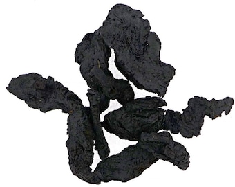 REHMANNIA ROOT DRIED Herb Pieces rehmannia Glutinosa Premium Quality - Etsy