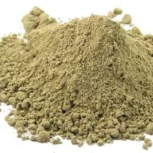 Bladderwrack - Bulk - Etsy