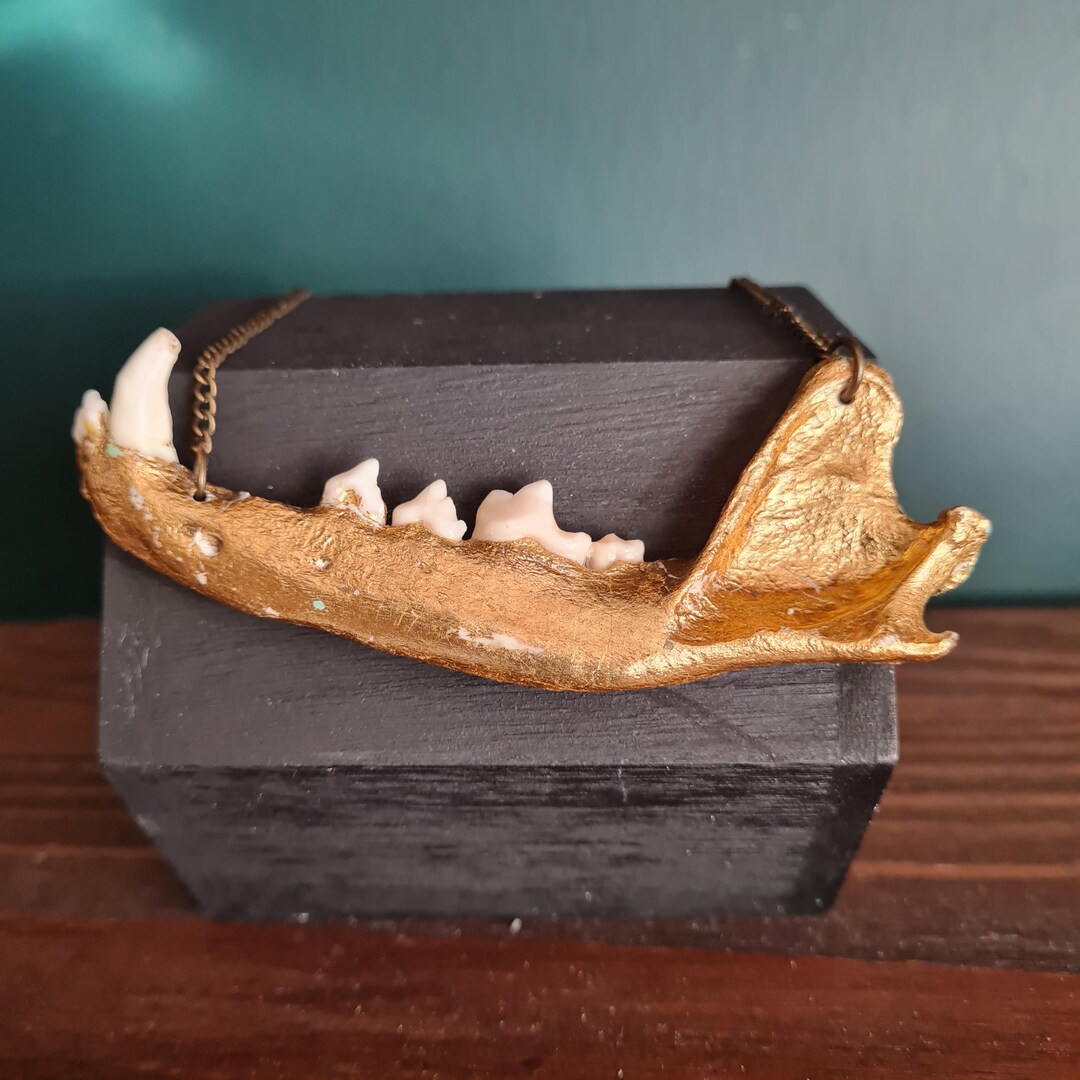 Gold Fox Jaw Necklace - Etsy