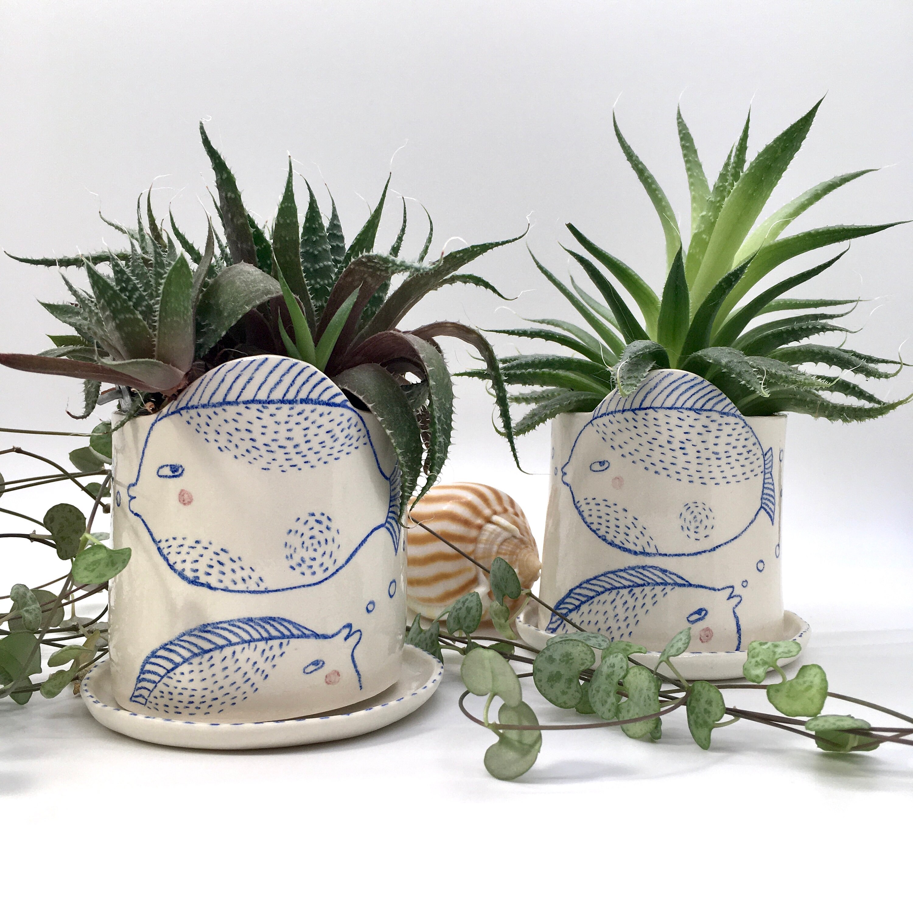 Fish Handmade and Illustrated Ceramic Flowerpot for Small - Etsy