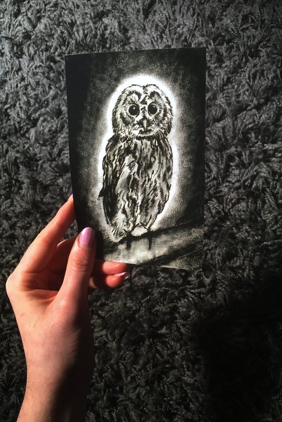 Horror Owl Drawing