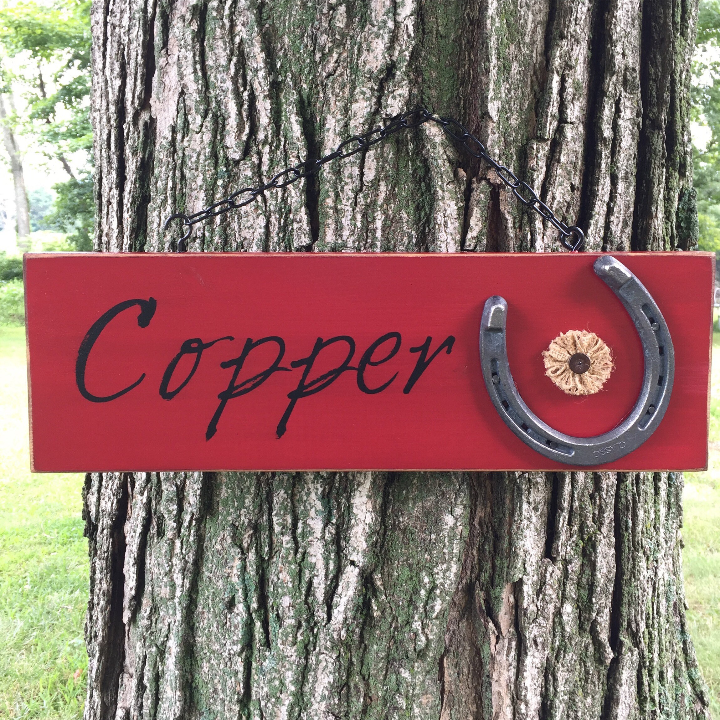 Stall Sign | Horse Stall Sign With Horseshoe | Personalized Tack Sign ...