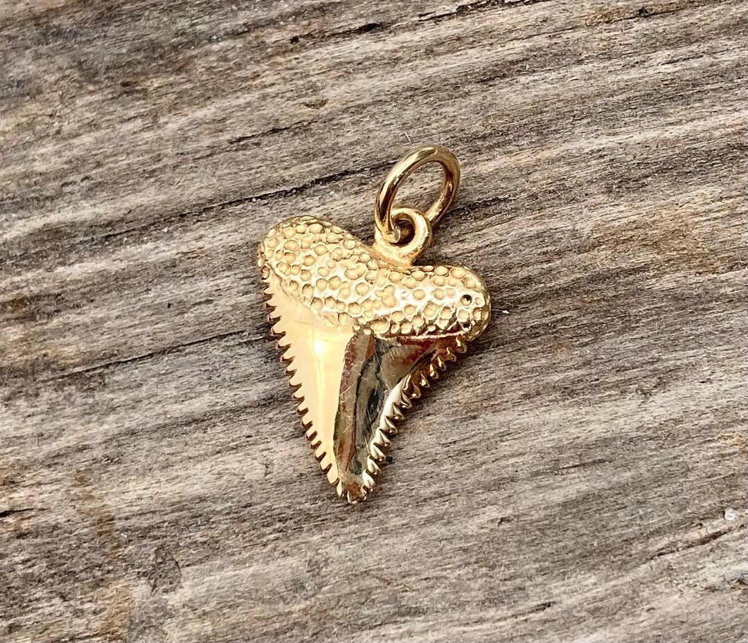 Small Bronze Shark Tooth Charm, Shark Tooth Pendant, Pendant, Gold ...