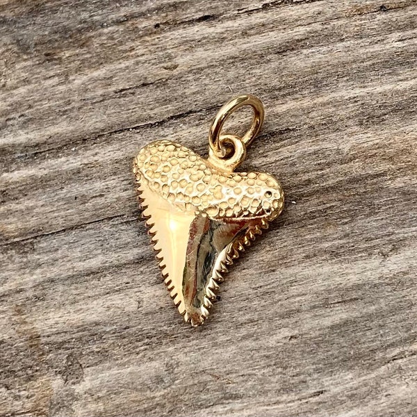 Shark Tooth Jewelry - Etsy