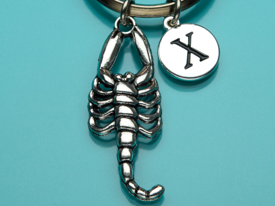 Scorpion Keychain, Scorpion Key Ring, Insect Keyring, Initial Keychain ...