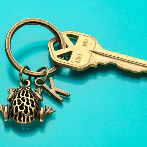 Frog Keychain, Bronze Frog Key Ring, Animal Charm, Initial Keychain ...