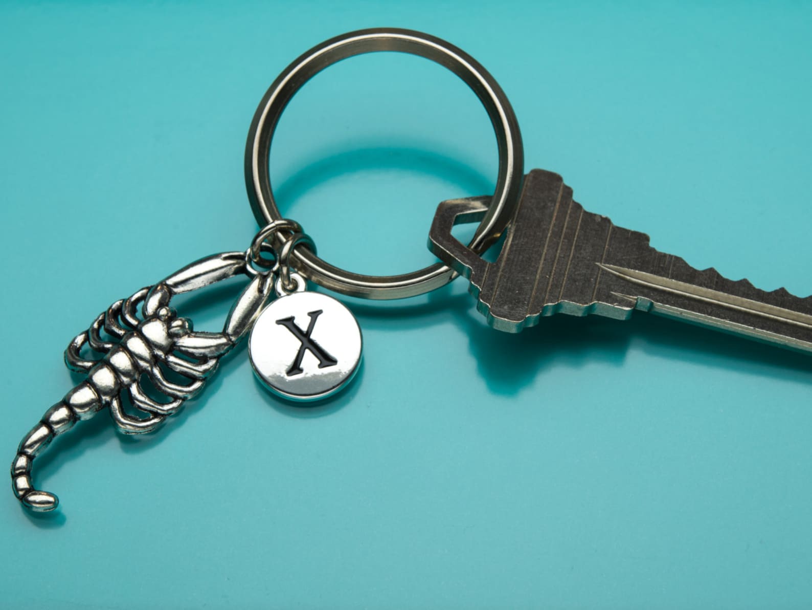 Scorpion Keychain Scorpion Key Ring Insect Keyring Initial - Etsy