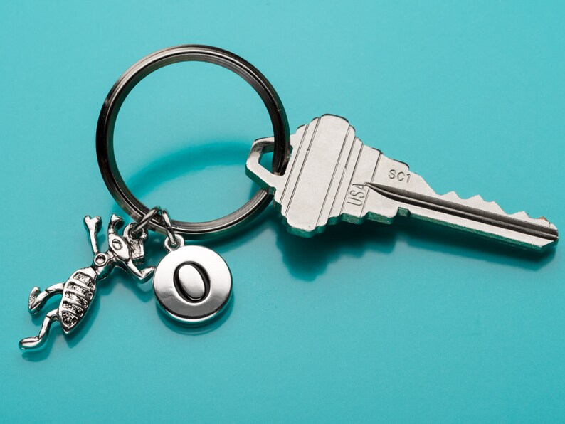 Ant Keychain Cute Ant Key Ring Insect Charm Initial | Etsy