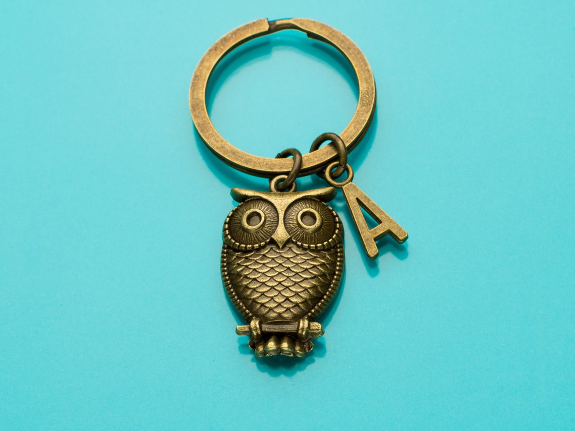 Owl Keychain Bronze Owl Key Ring Bird Charm Animal Charm - Etsy