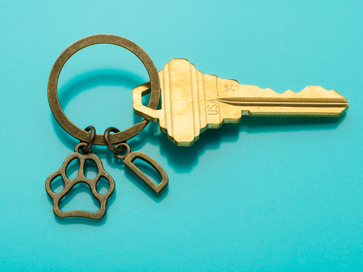 Dog Paw Print Keychain, Bronze Dog Paw Print Key Ring, Dog Charm ...
