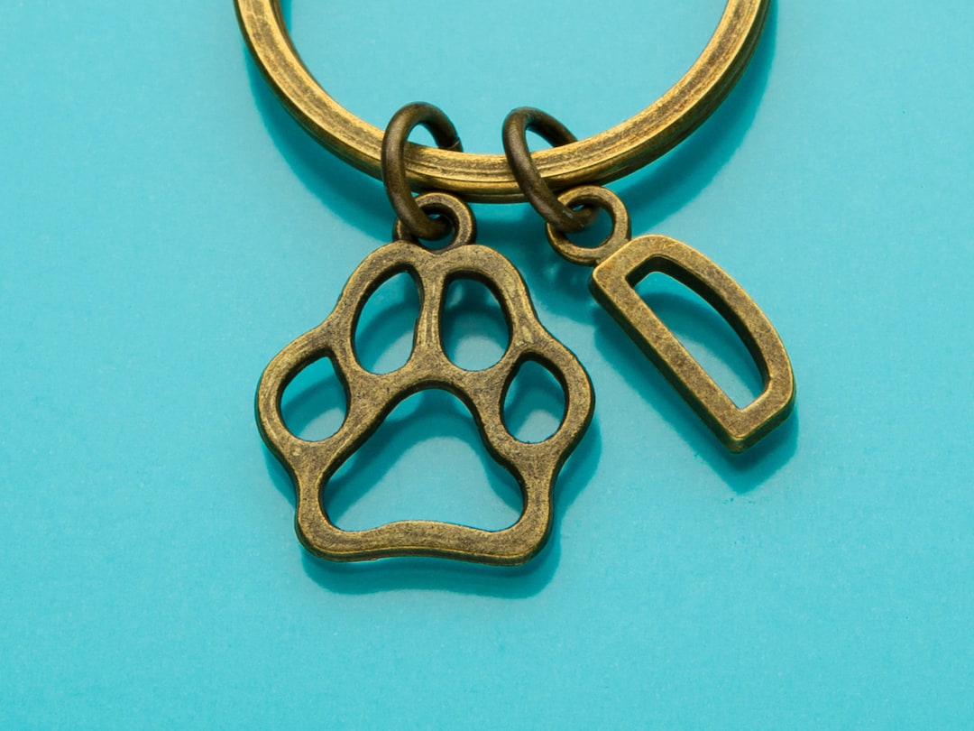 Dog Paw Print Keychain, Bronze Dog Paw Print Key Ring, Dog Charm ...