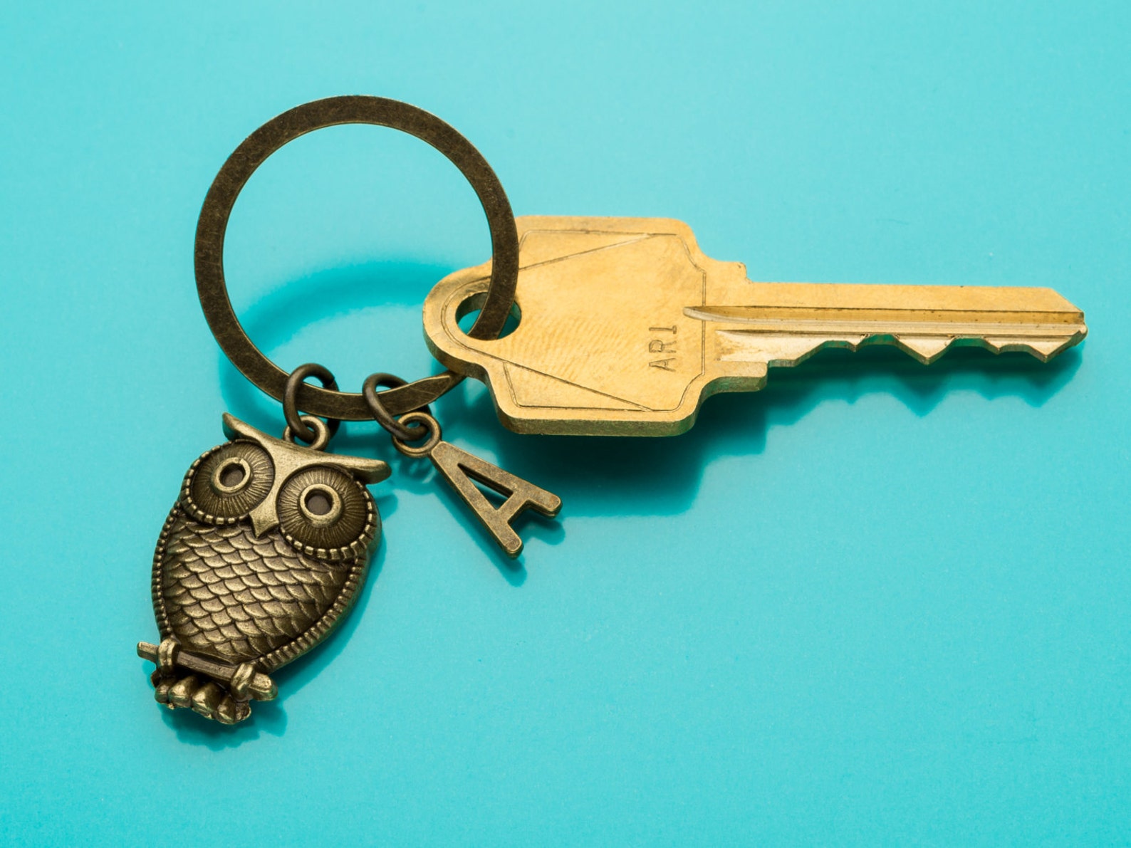 Owl Keychain Bronze Owl Key Ring Bird Charm Animal Charm - Etsy