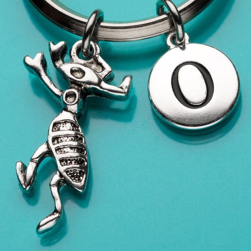 Insect Charms - Etsy