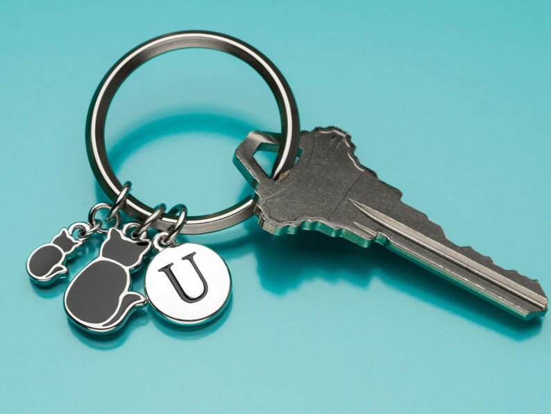 Black Cats Keychain Two Cat Key Ring Black Enamel Cat Backs - Etsy