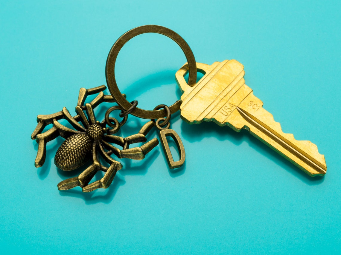 Spider Keychain Bronze Spider Key Ring Insect Charm Initial - Etsy