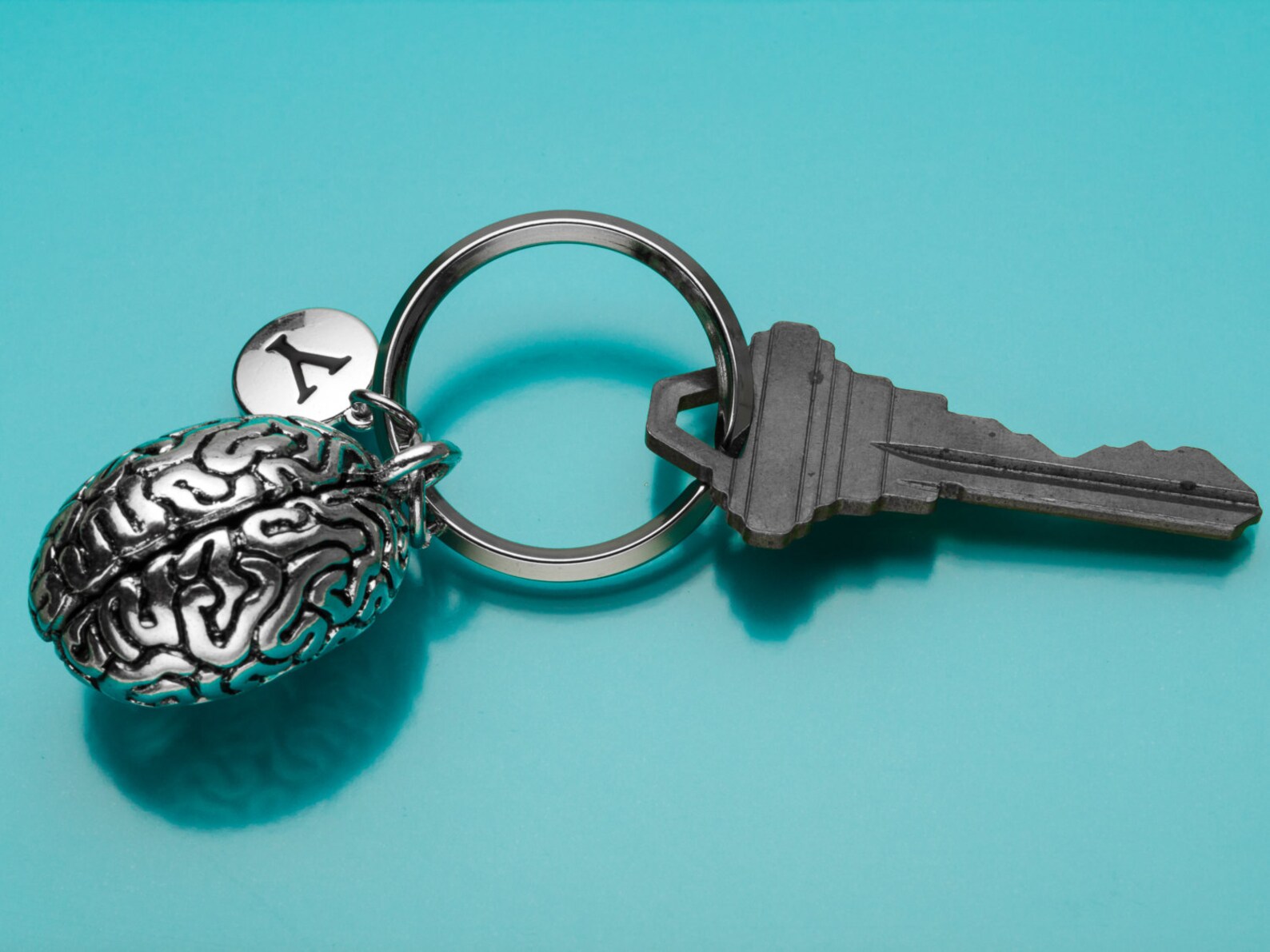 Anatomical Brain Keychain Anatomical Brain Key Ring Gray | Etsy