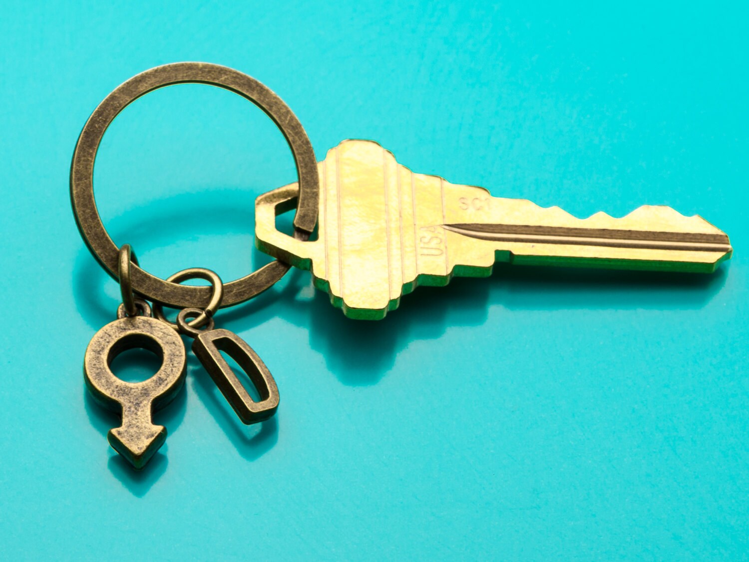Male Symbol Keychain, Bronze Male Symbol Key Ring, Male Gender, Initial ...