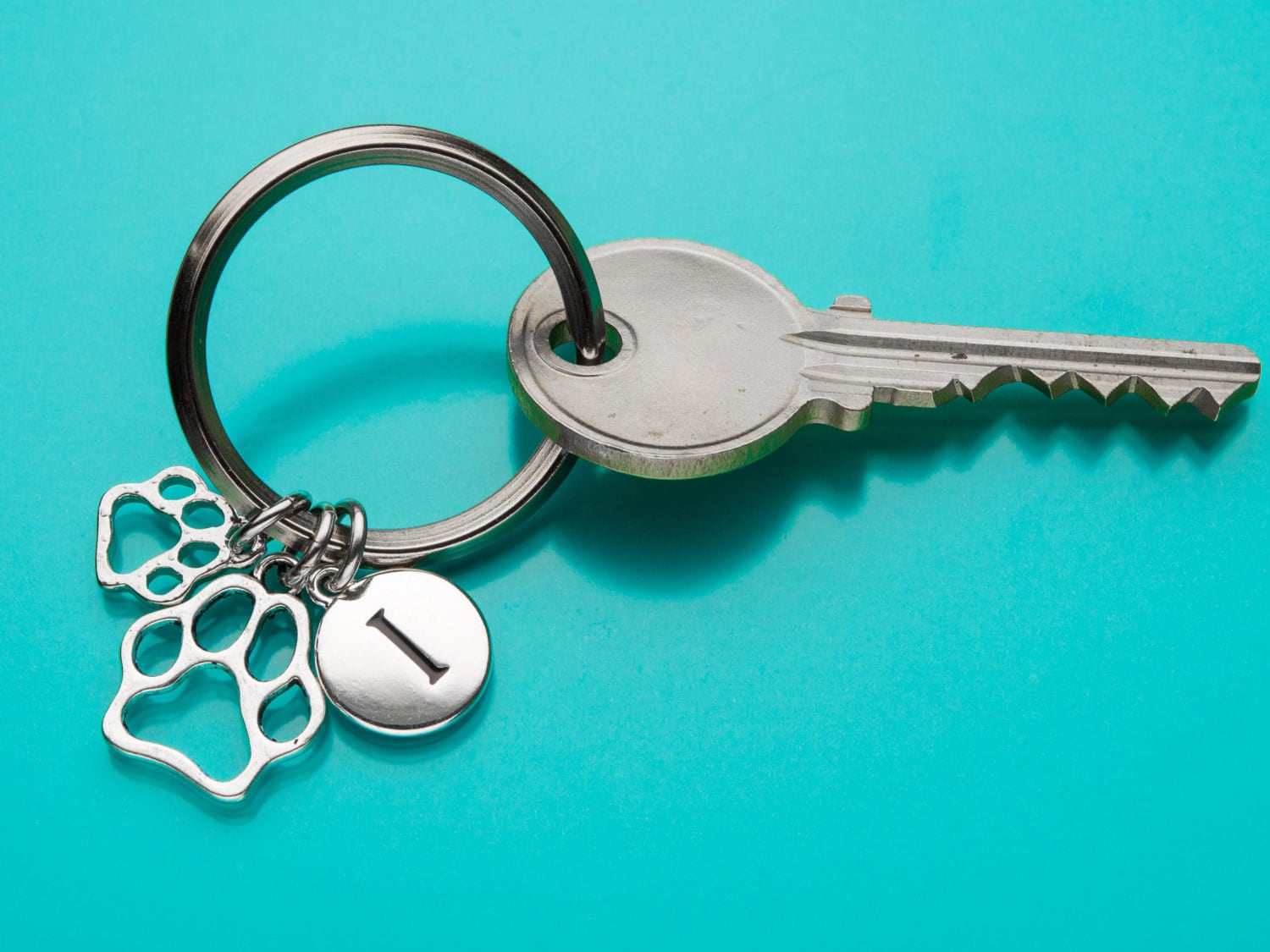 Dog Paw Prints Keychain Dog Paw Prints Key Ring Dog Charm | Etsy