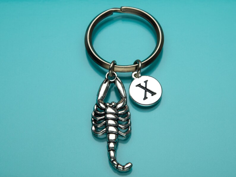 Scorpion Keychain, Scorpion Key Ring, Insect Keyring, Initial Keychain ...