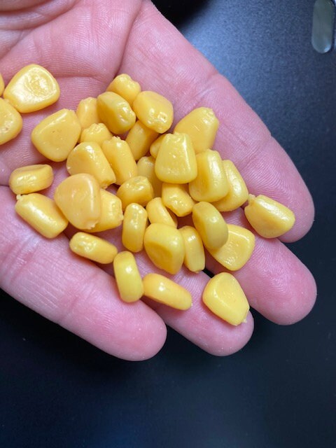 Materials Sculpting & Forming US Seller * Polymer Clay BEANS Clay Food ...