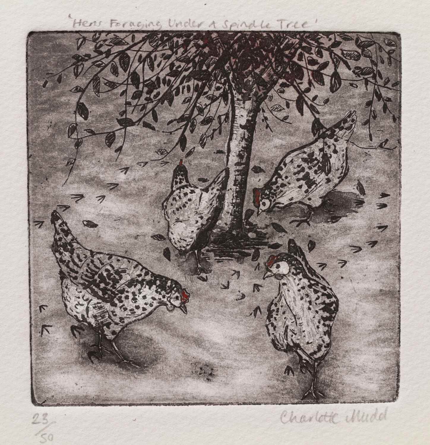 Hen Etching 'hens Foraging Under A Spindle Tree' - Etsy