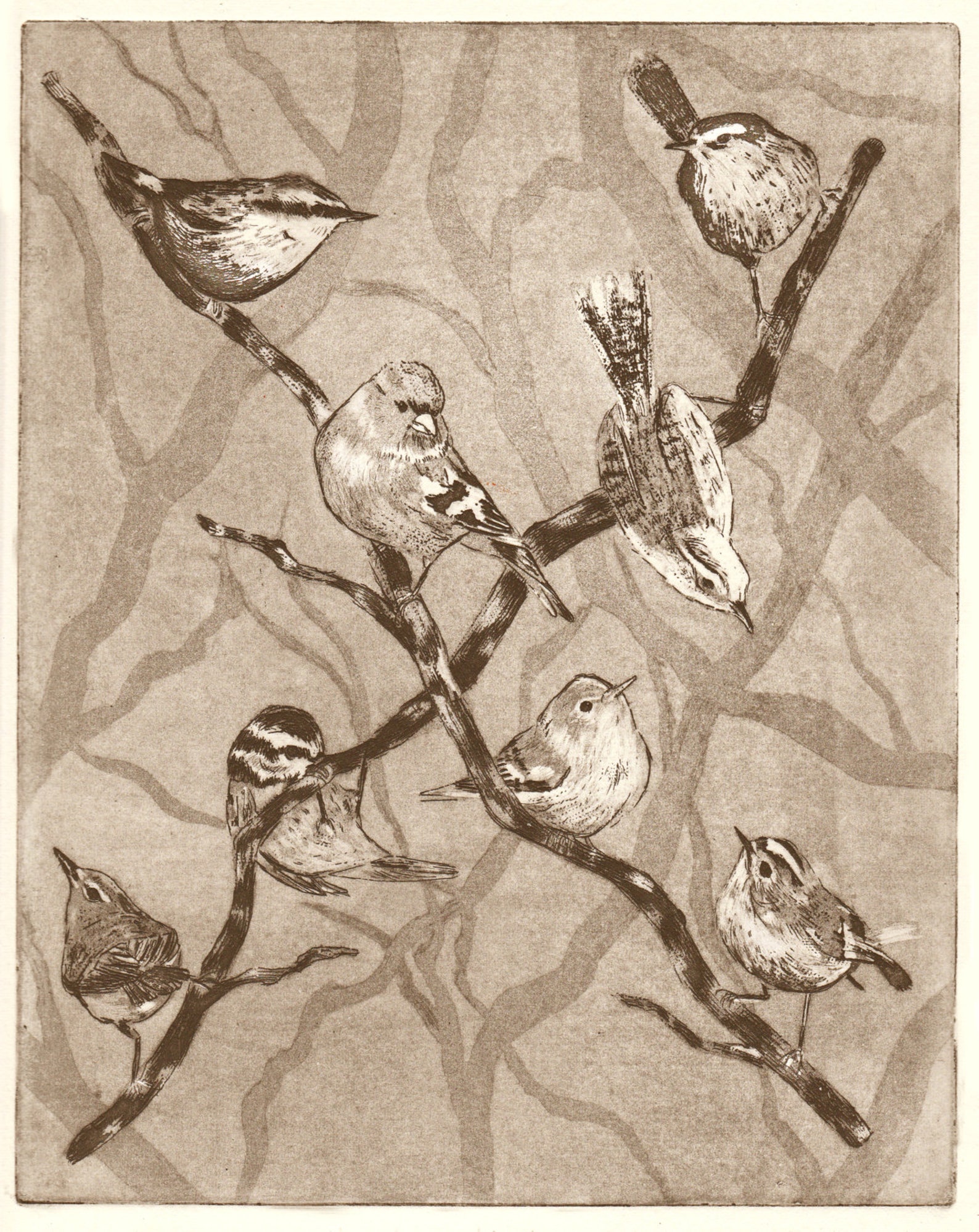 Birds Etching-bird Print- Bird Art -drawing of Birds -garden Birds ...