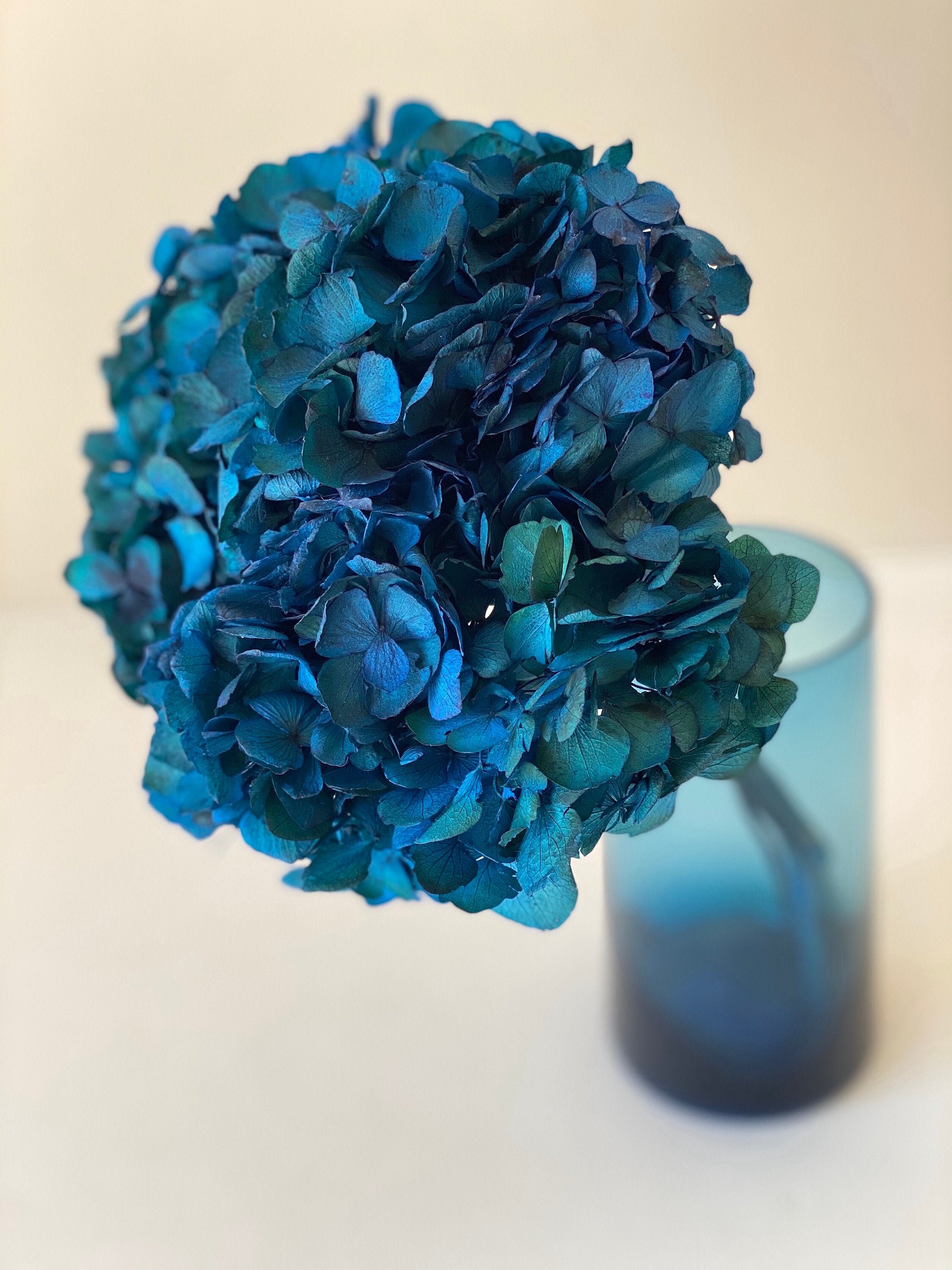 Blue Hydrangea Preserved/Hortensia Préservé Bleu | Etsy