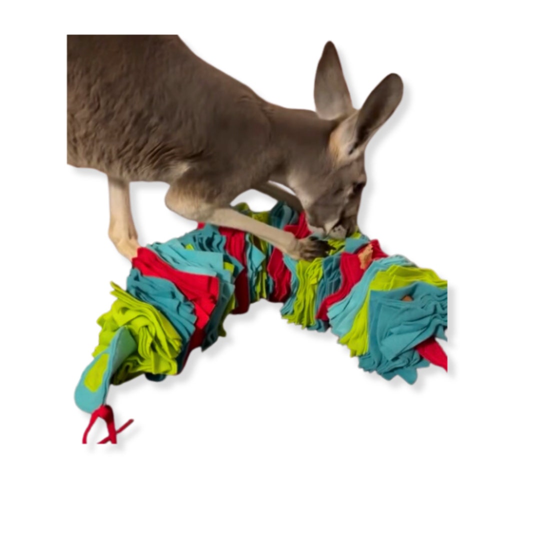 Jumbo Snuffle Snake Treat Puzzle for Large Breeds and Huge Pets ...