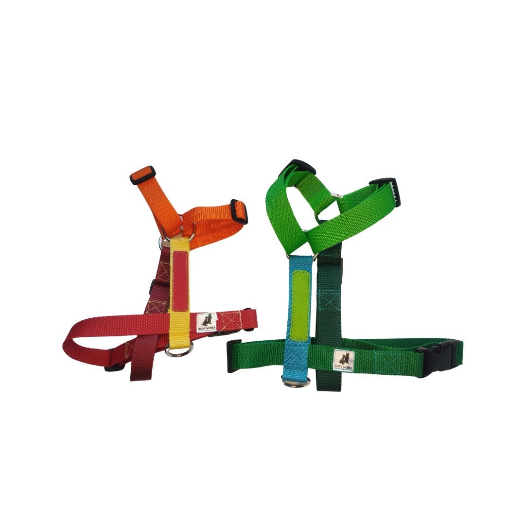 Colorful Adjustable Y-harness Personalized Dog Accessory - Etsy