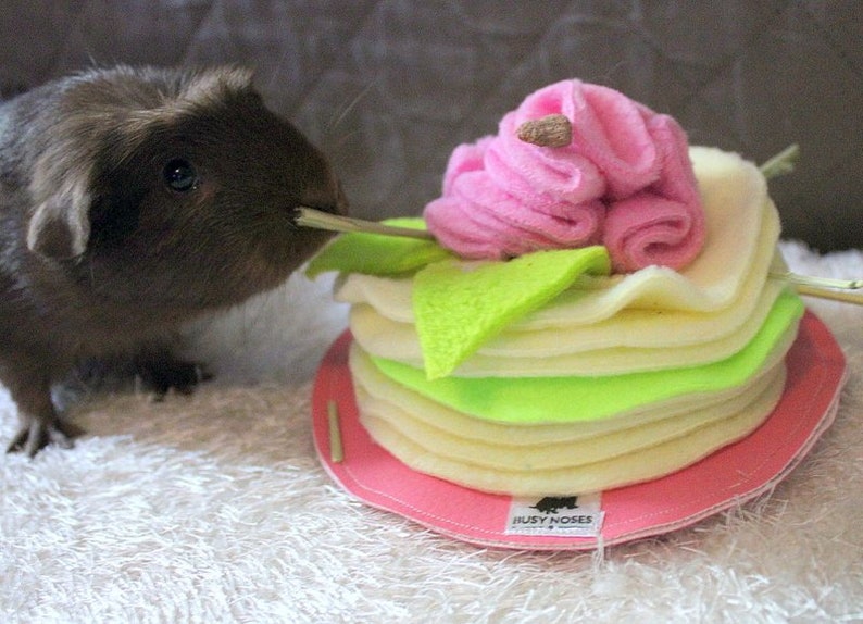 Mini Snuffle Cake for Rodents Hedgehogs Bunnies Guinea - Etsy