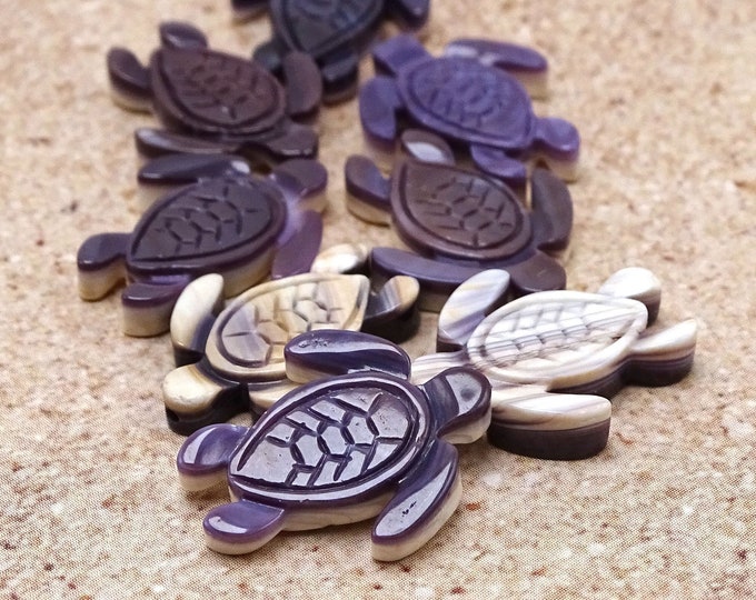 Quahog Wampum Sea Turtle Shell Beads--20mm L X 16mm W--5 Pcs. | 47-7274 ...