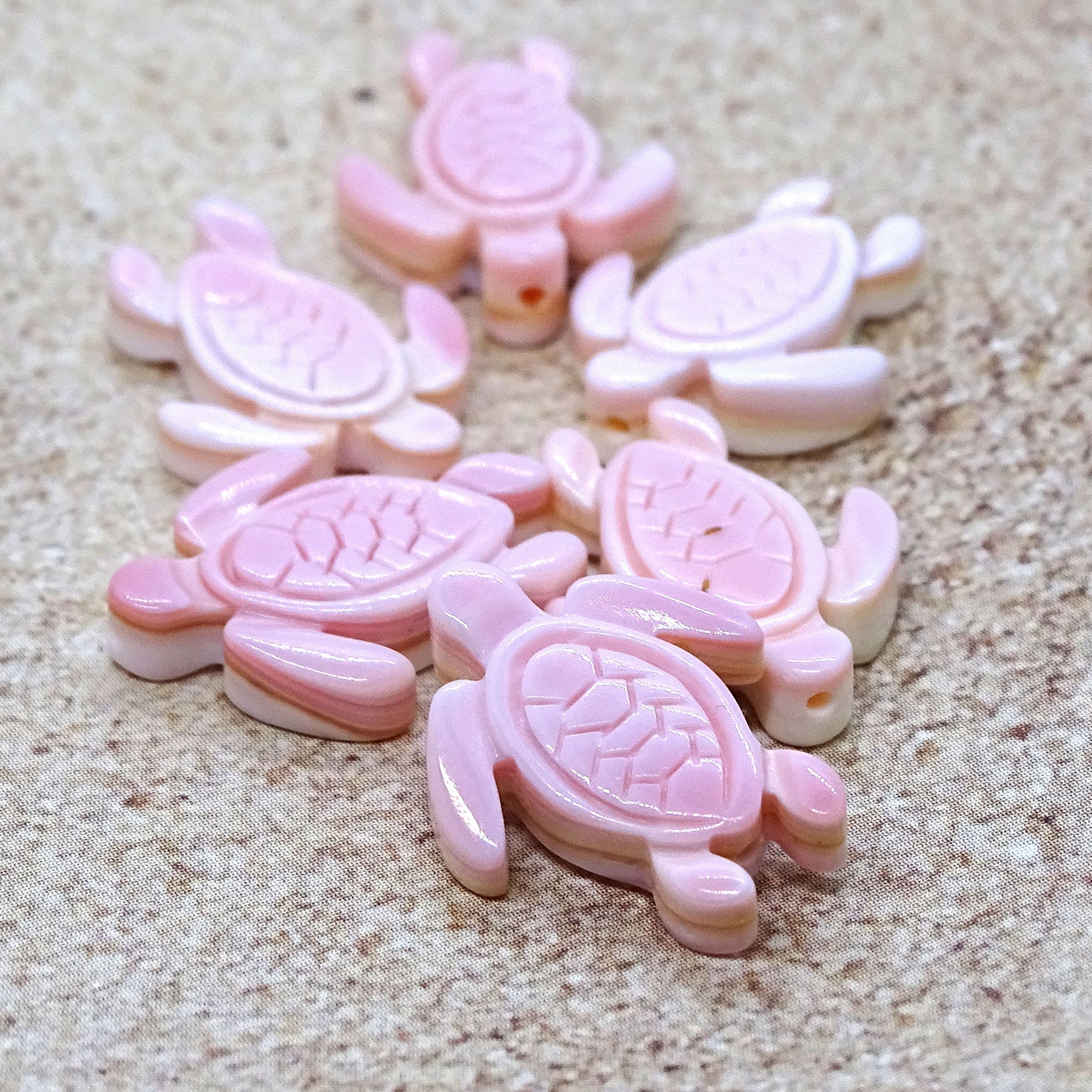 Pink Queen Conch Shell Sea Turtle Beads20mm X 16mm5 Pcs. - Etsy
