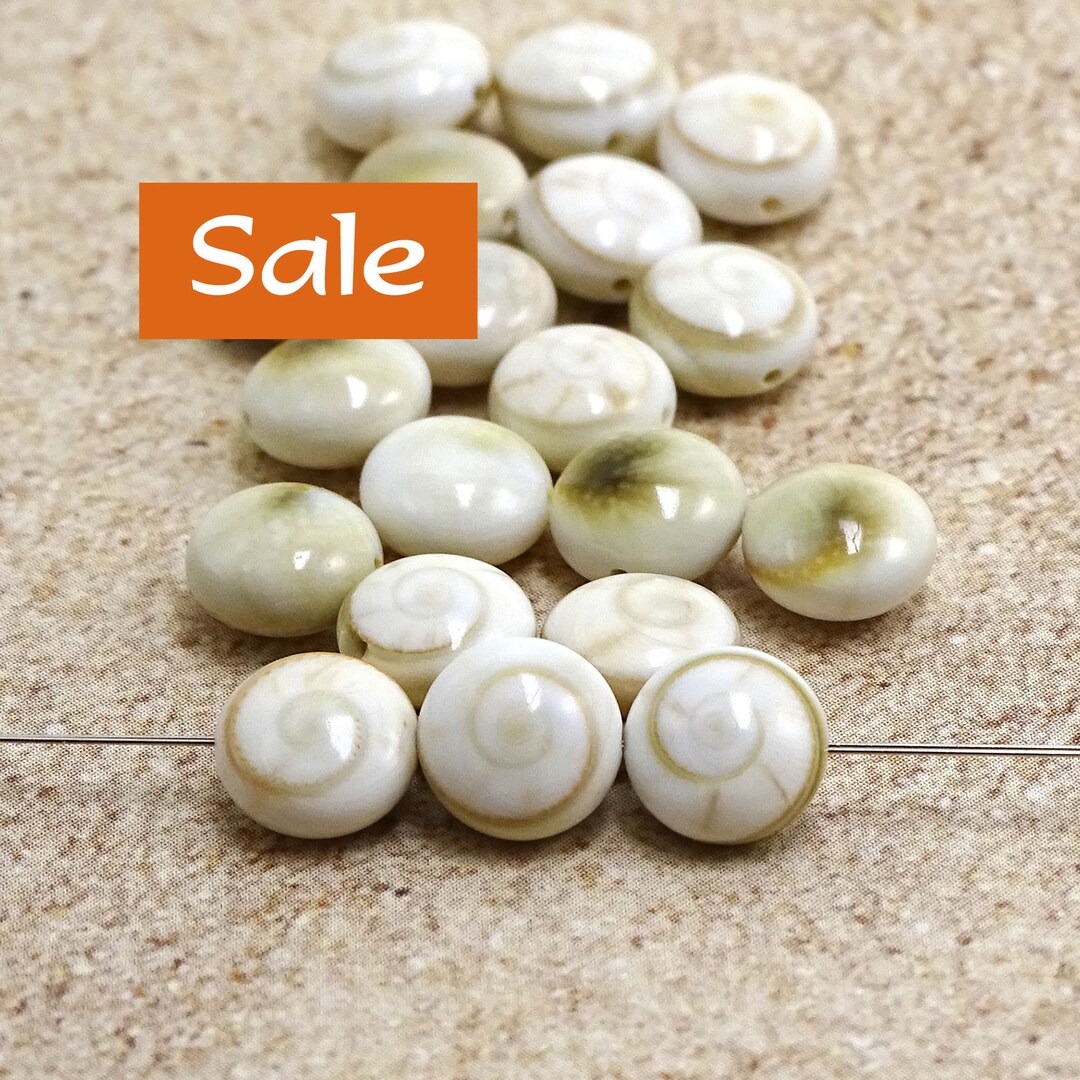 Small Shiva Eye Shell Coin Beads8mm25 Pcs. SALE 47-1208 - Etsy