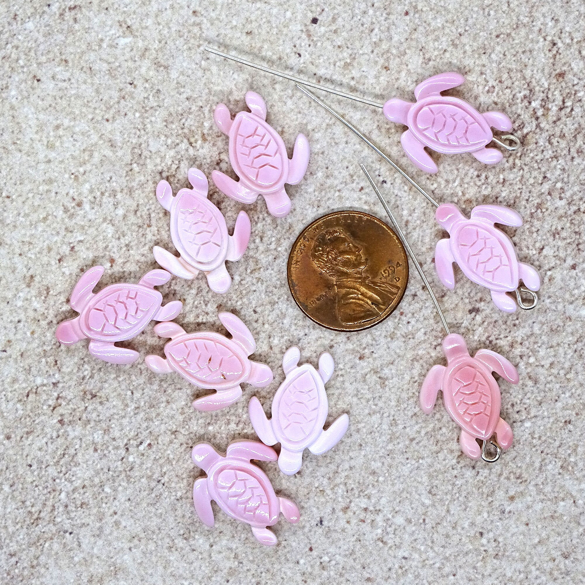 Pink Queen Conch Shell Sea Turtle Beads20mm X 16mm5 Pcs. - Etsy