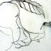 Hummingbird and Bloom, 2D Wire Wall Art by Elizabeth Berrien - Etsy