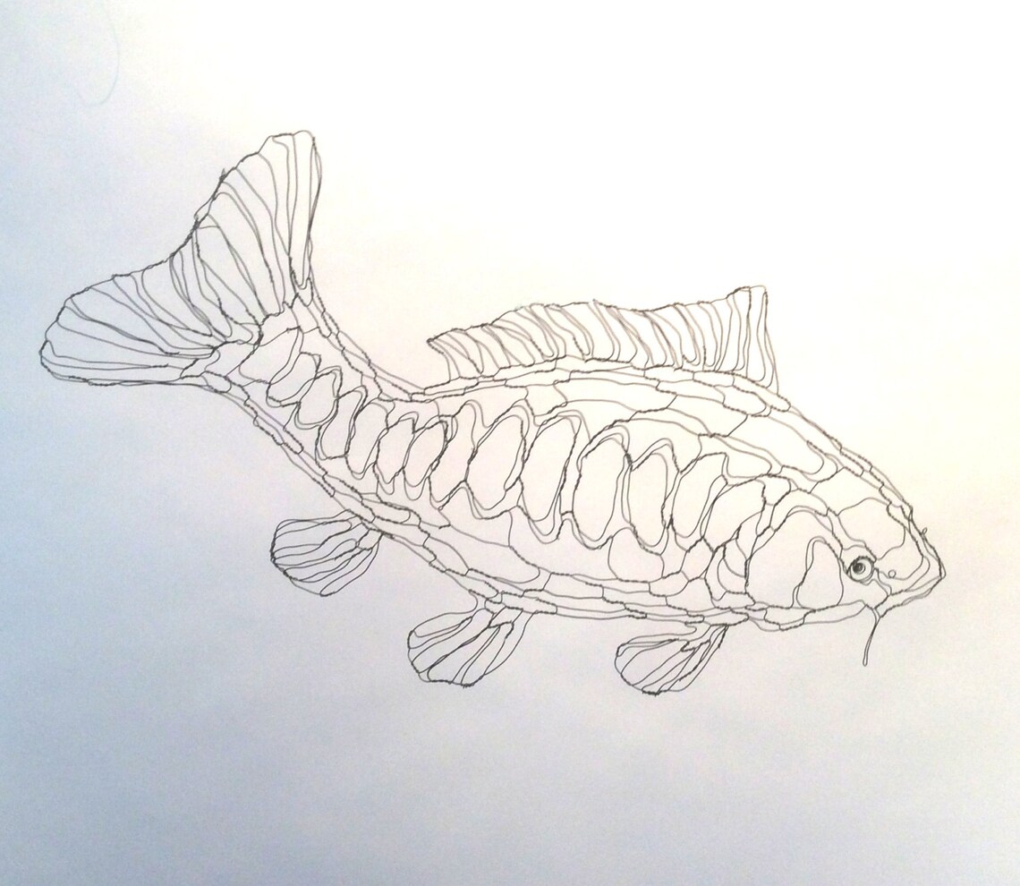 Wire Sculpture 2D Koi Carp (pond Fish): Wire Wall Art by Elizabeth ...