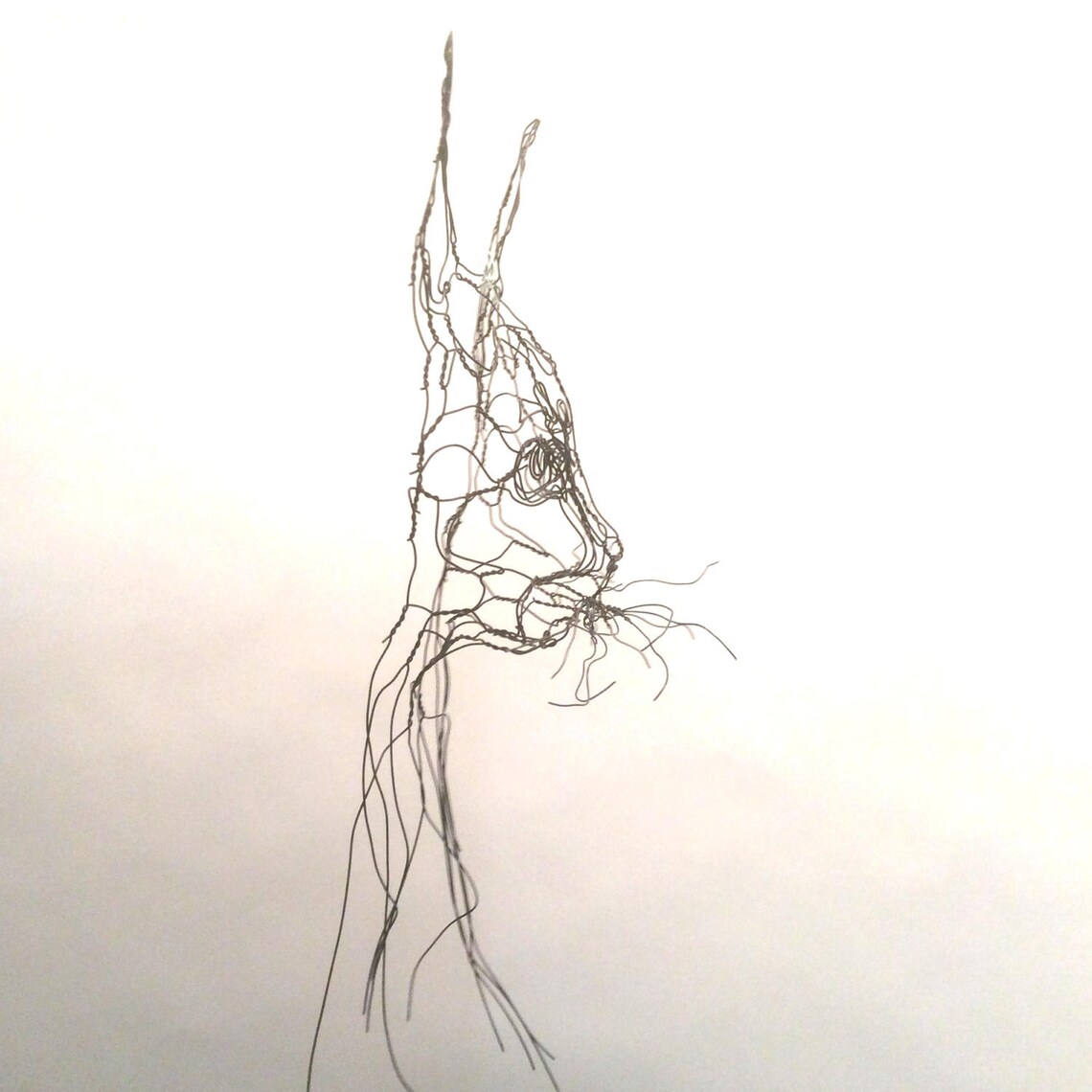 Wall Kitty Cat 2D Wire Sculpture by Elizabeth Berrien - Etsy