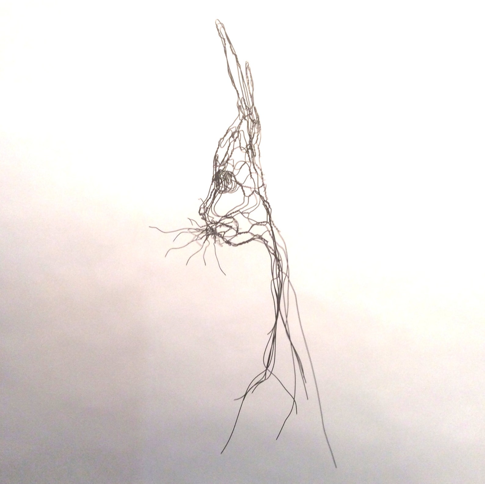 Wire Sculpture Cat Mask: Wall Art by Elizabeth Berrien, Internationally ...